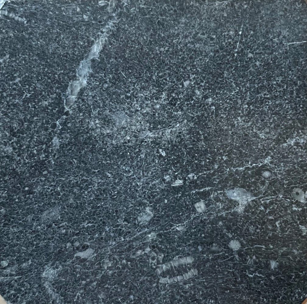 Fossiler – Petrologi